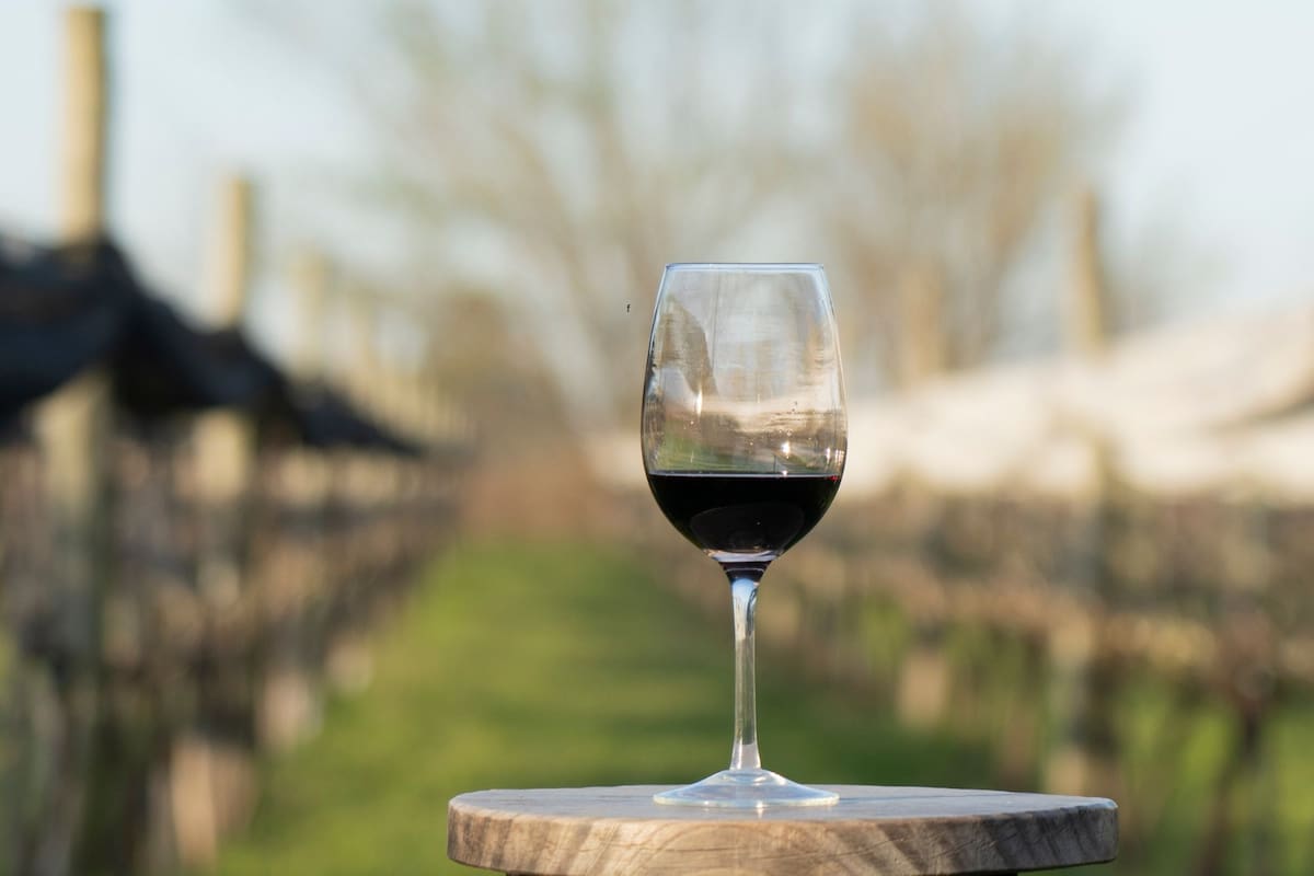 ¿Qué significa que un vino es DOC? - Mas que noticias esquina